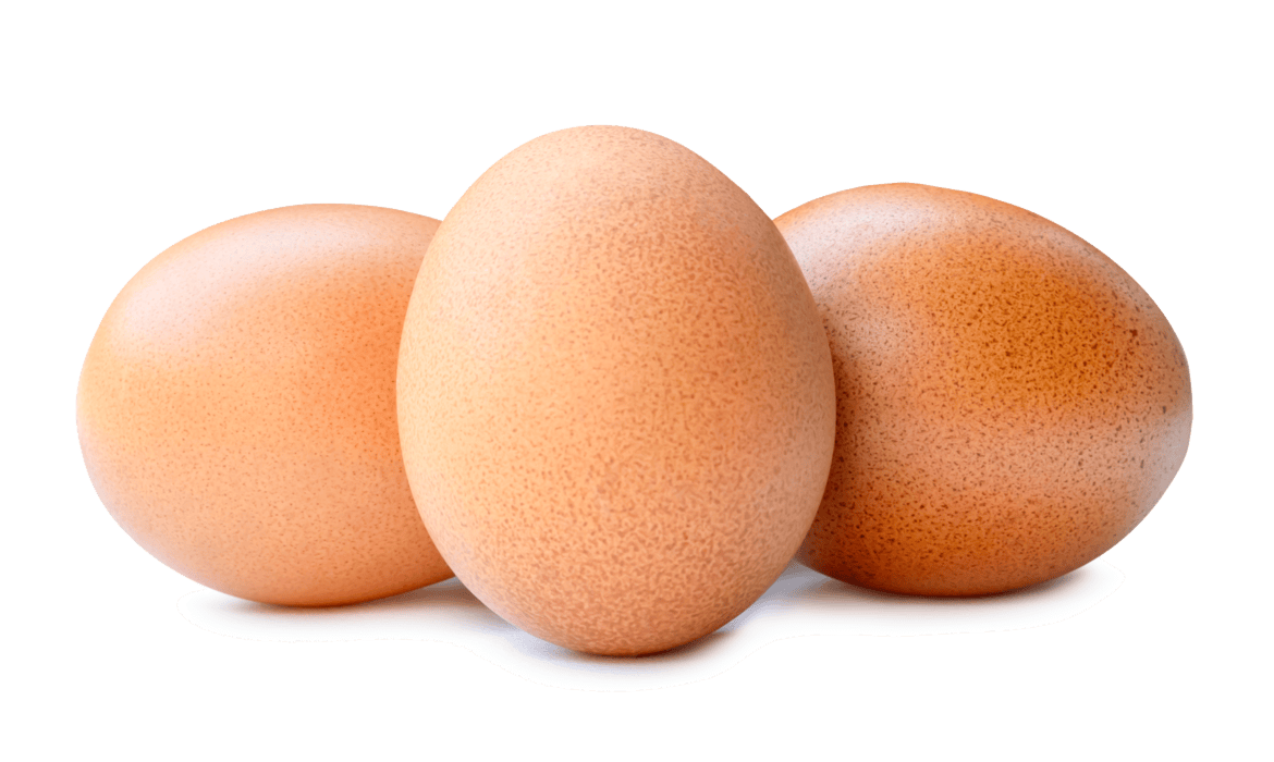 Egg Png PNGs for Free Download