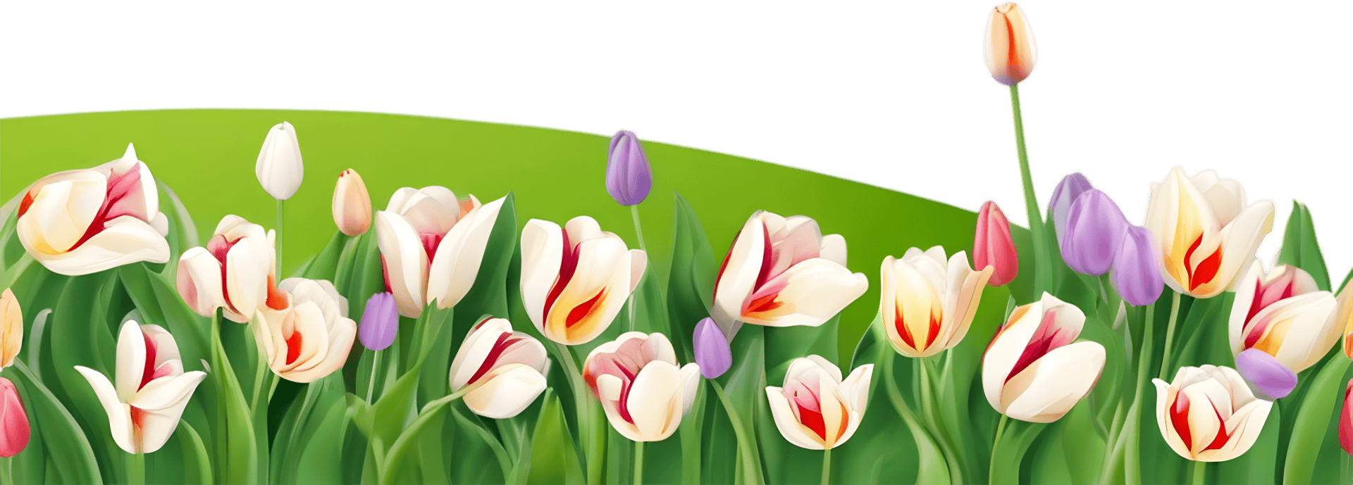 Spring Clipart PNGs for Free Download