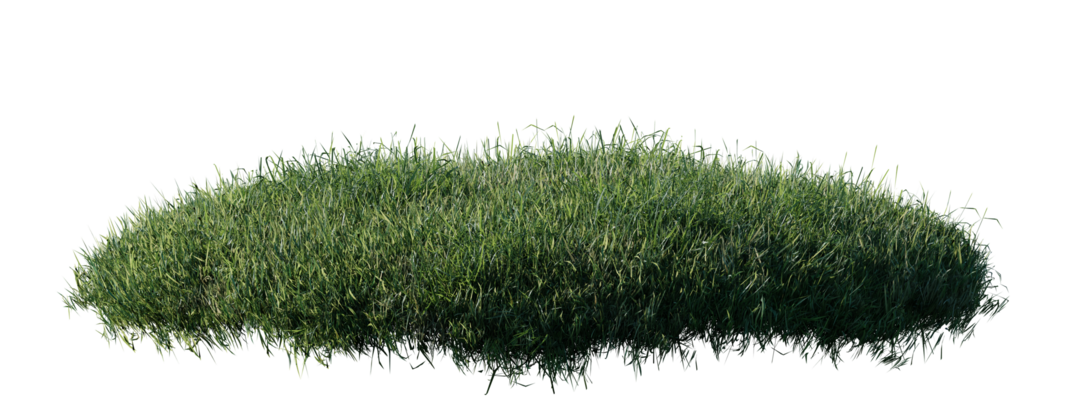Grass Texture Pngs For Free Download