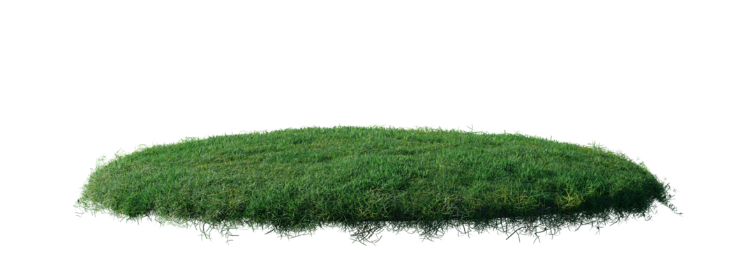 Grass Texture Pngs For Free Download