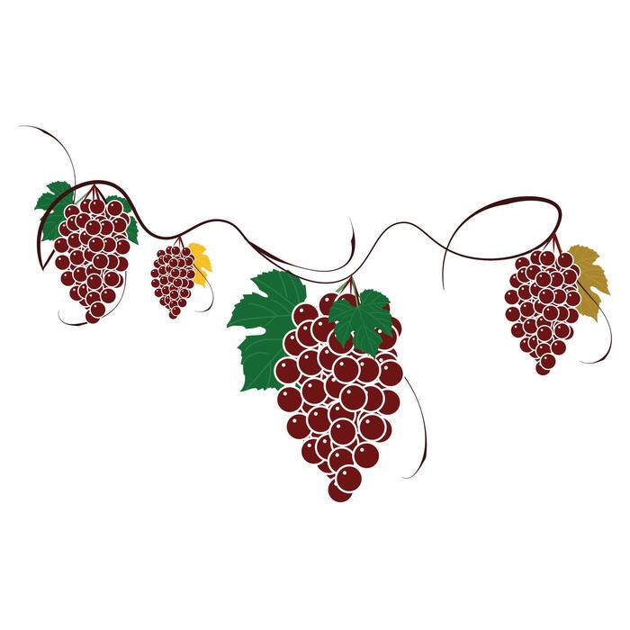 Page 2 | Grape Vine Vector Art, Icons, and Graphics for Free Download