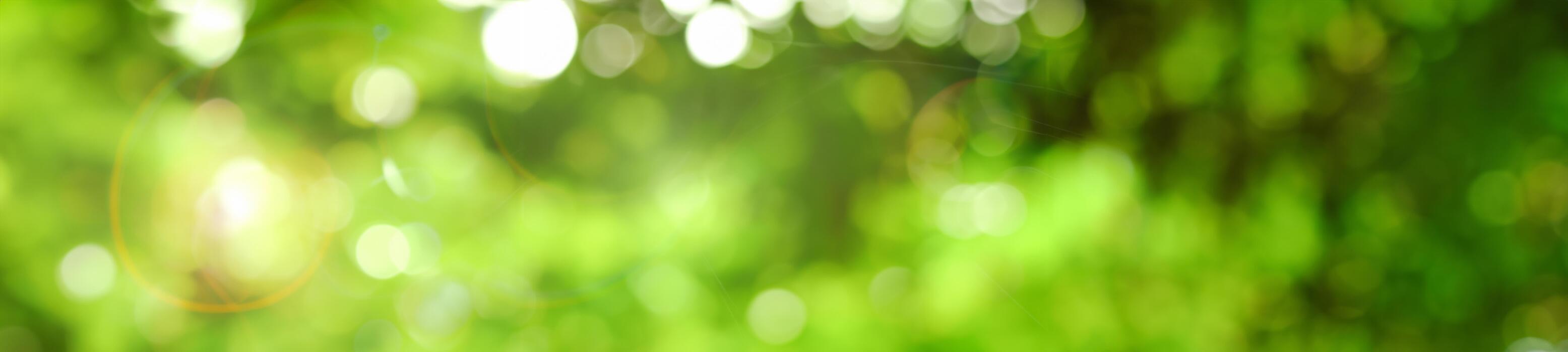 Green Nature Background Stock Photos, Images and Backgrounds for Free ...