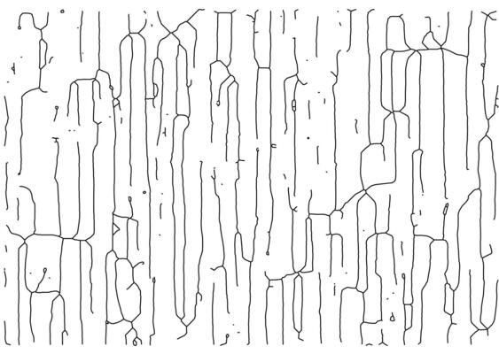 Tree Bark Pattern Vector Art, Icons, and Graphics for Free Download