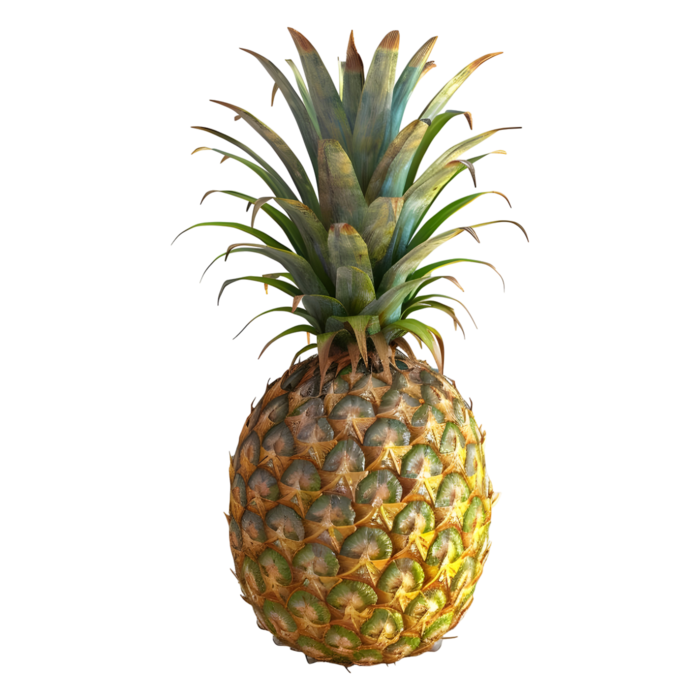 Pineapple Tree PNGs for Free Download