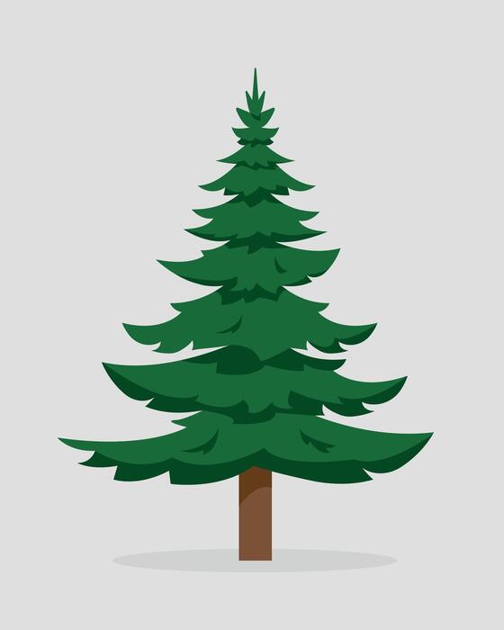 Simple Pine Tree Vector Art, Icons, and Graphics for Free Download