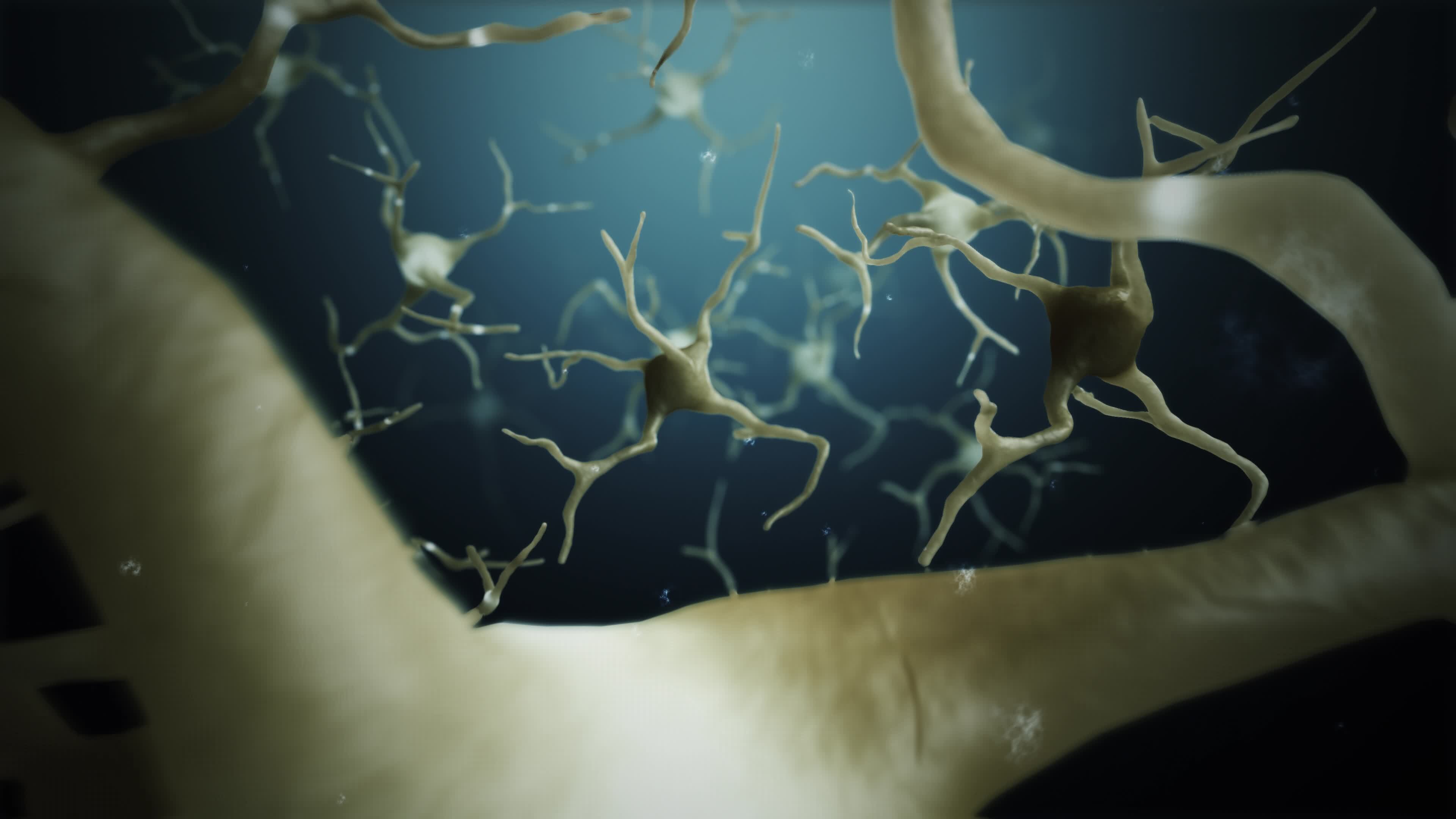 Loop Neuron cells connections world 42234930 Stock Video at Vecteezy Loop Neuron cells connections world 42234930 Stock Video at Vecteezy