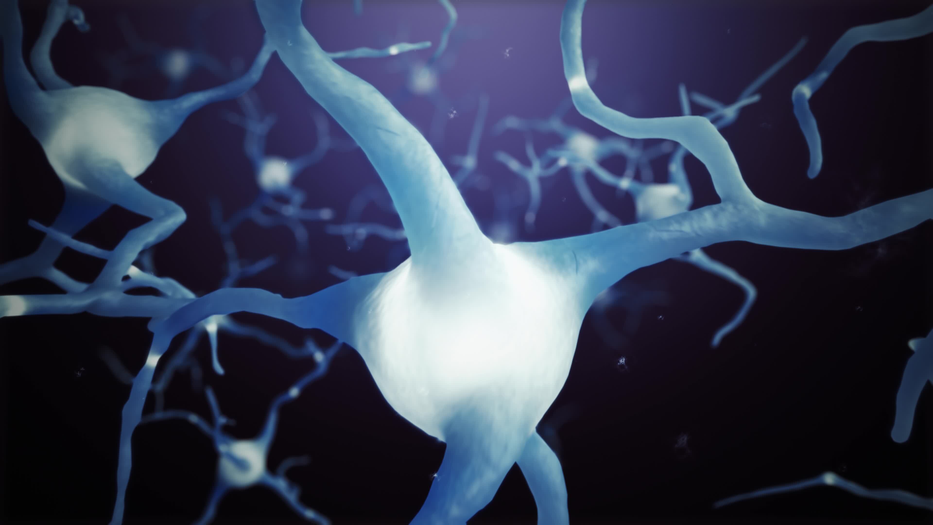 Loop Neuron cells connections world 42234931 Stock Video at Vecteezy Loop Neuron cells connections world 42234931 Stock Video at Vecteezy