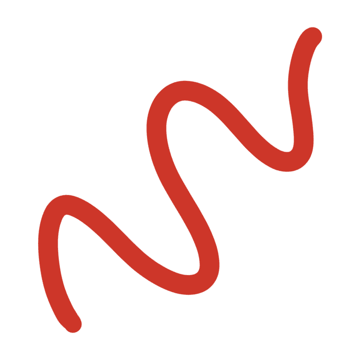 Squiggle PNGs for Free Download