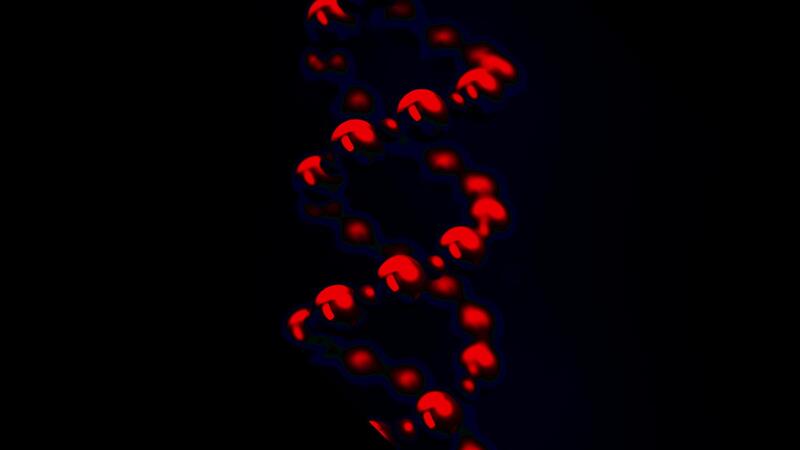 Abstract Dna Double Helix Of Dark Red Color Rotating On Black