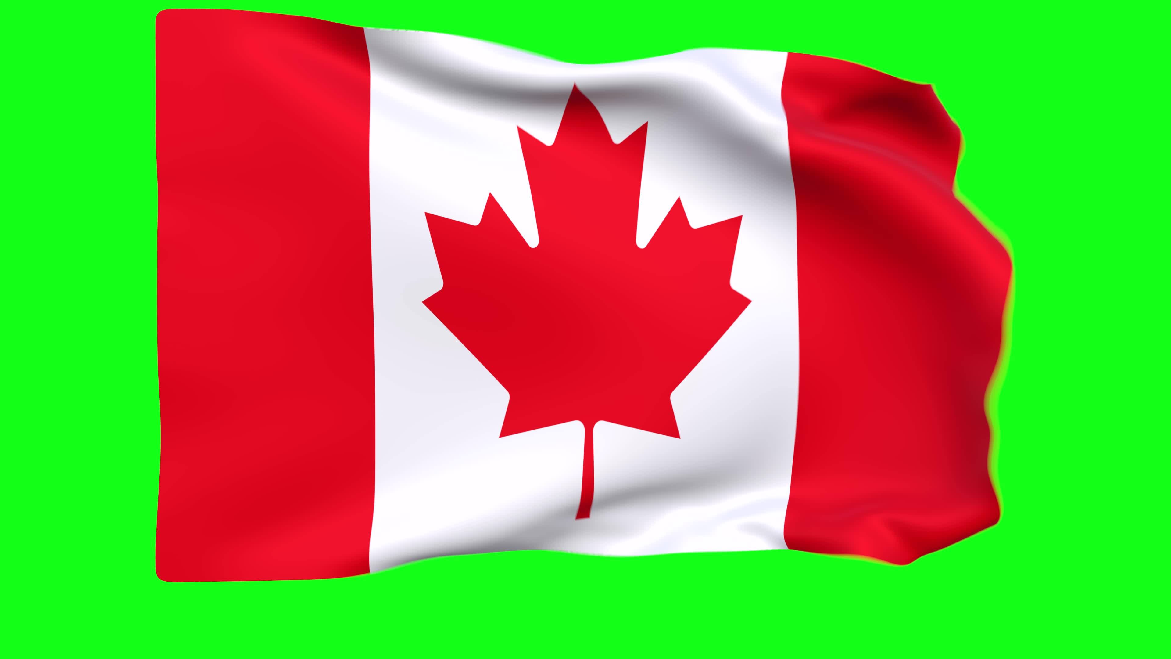 Waving flag of Canada Animation 3D render Method 42474367 Stock Video ... Waving flag of Canada Animation 3D render Method 42474367 Stock Video ...