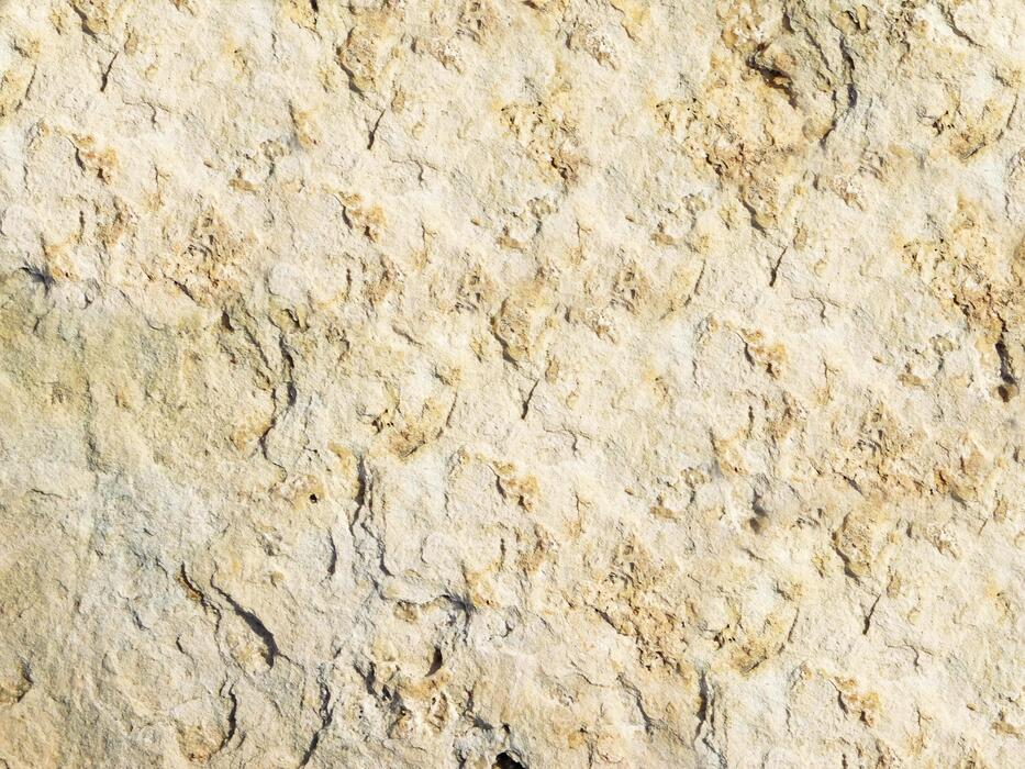 Light Stone Texture Stock Photos, Images and Backgrounds for Free Download