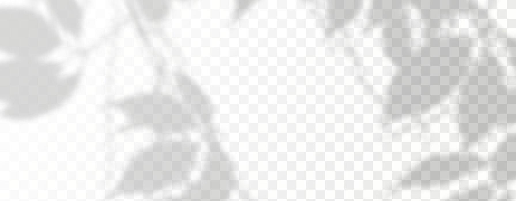 Transparent Texture Vector Art, Icons, and Graphics for Free Download