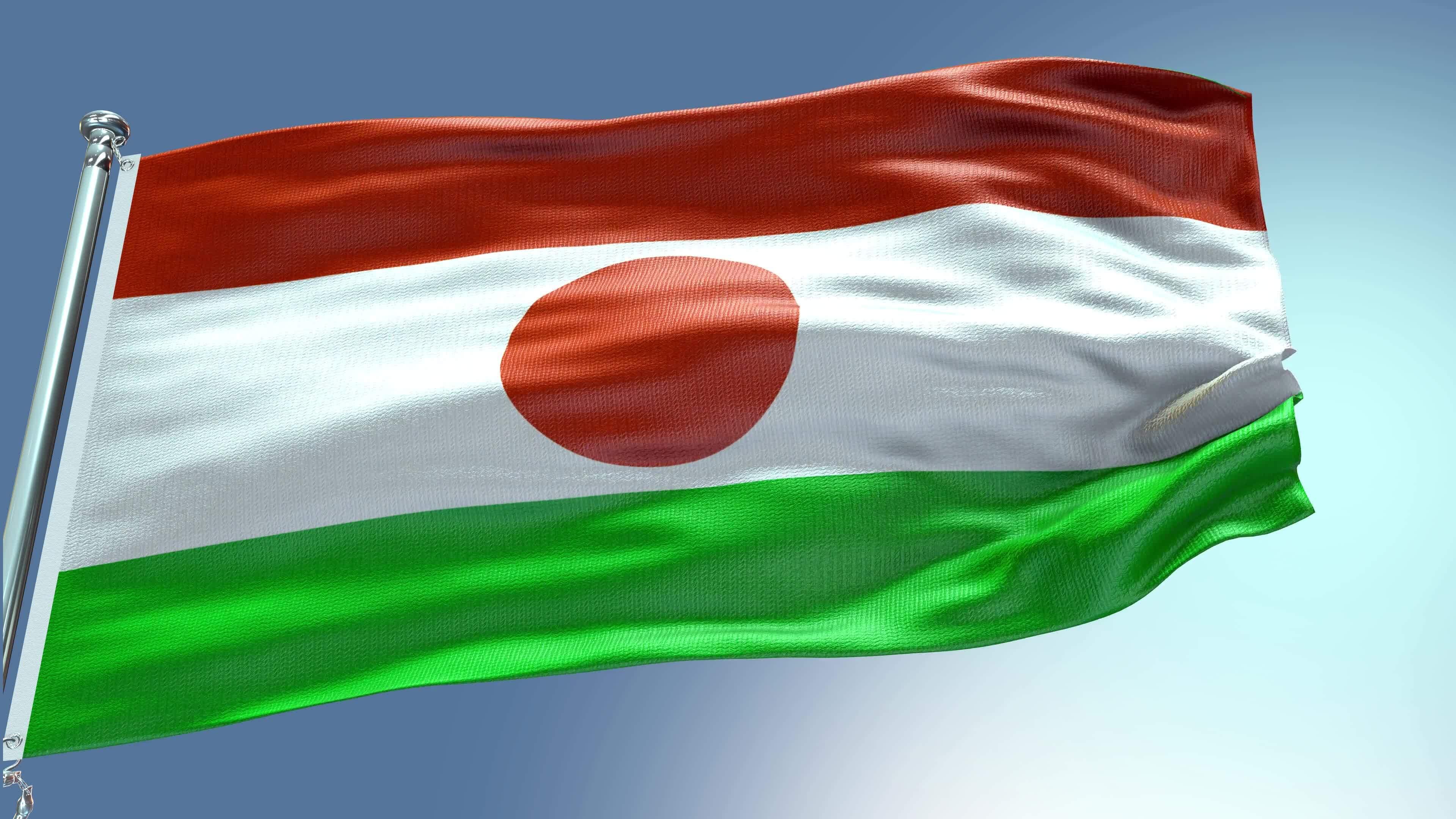 Niger Flag