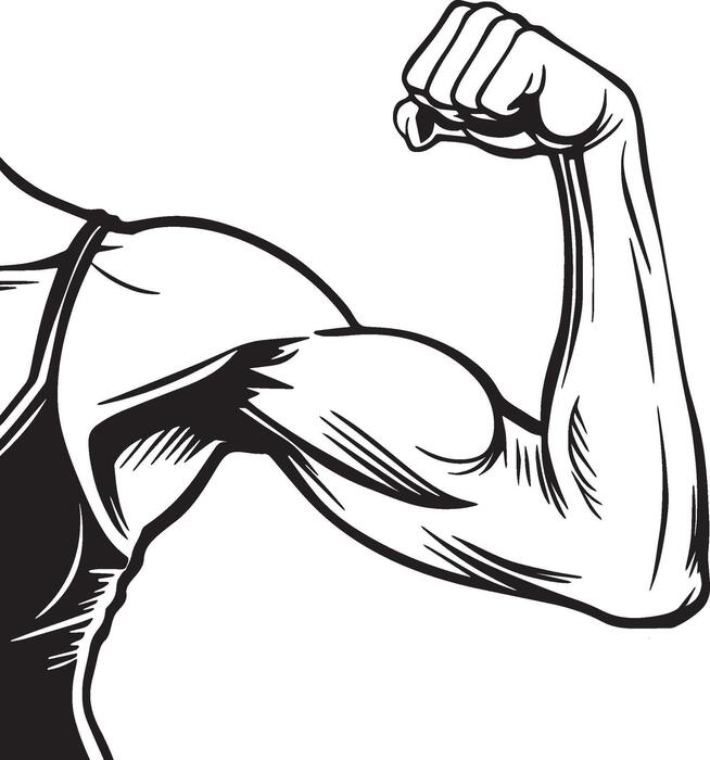 Muscle Arm Vector Art, Icons, and Graphics for Free Download