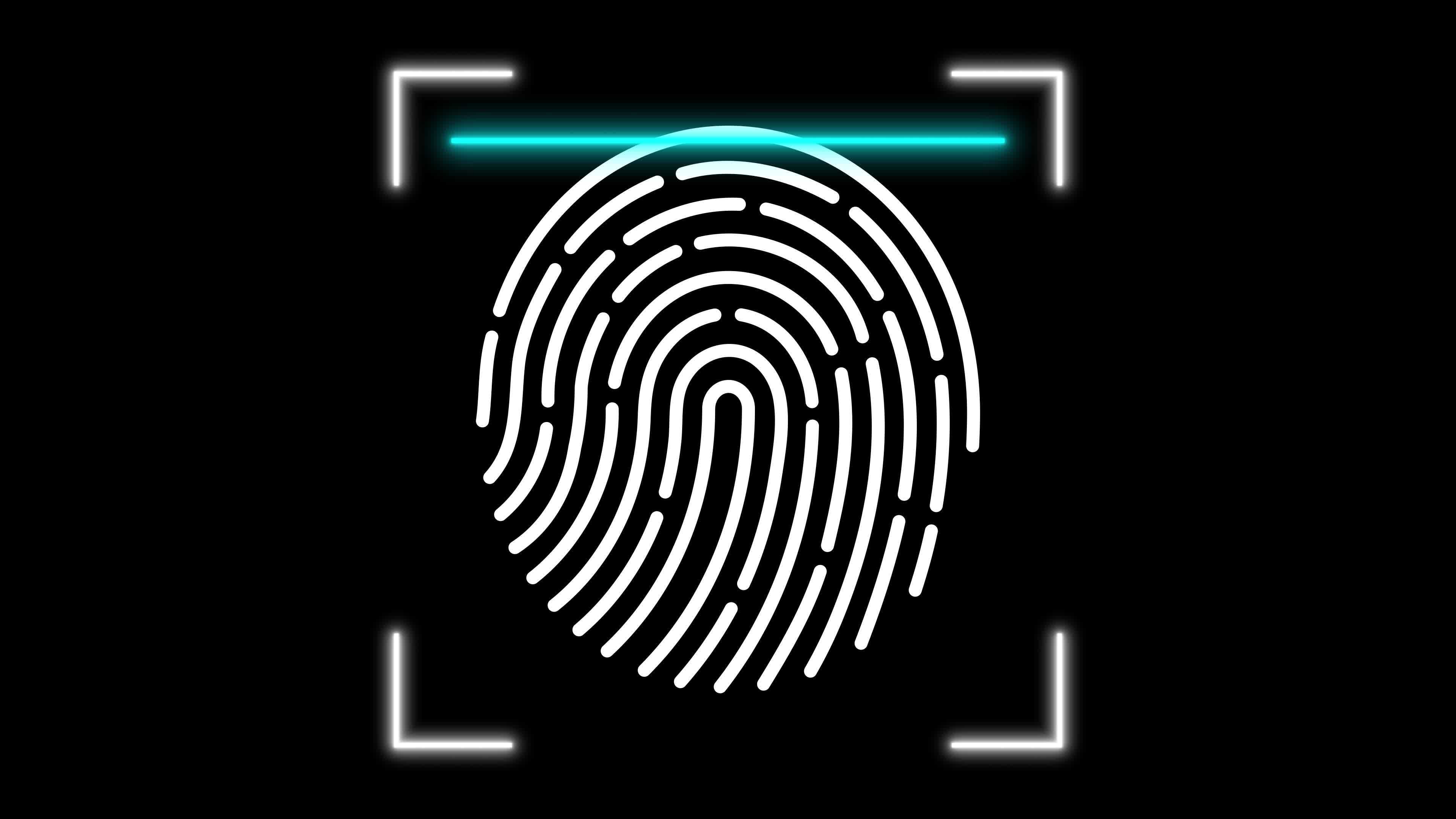 Fingerprint Scanner Animation On Green Screen Background. Digital Scanner For Fingerprint ...