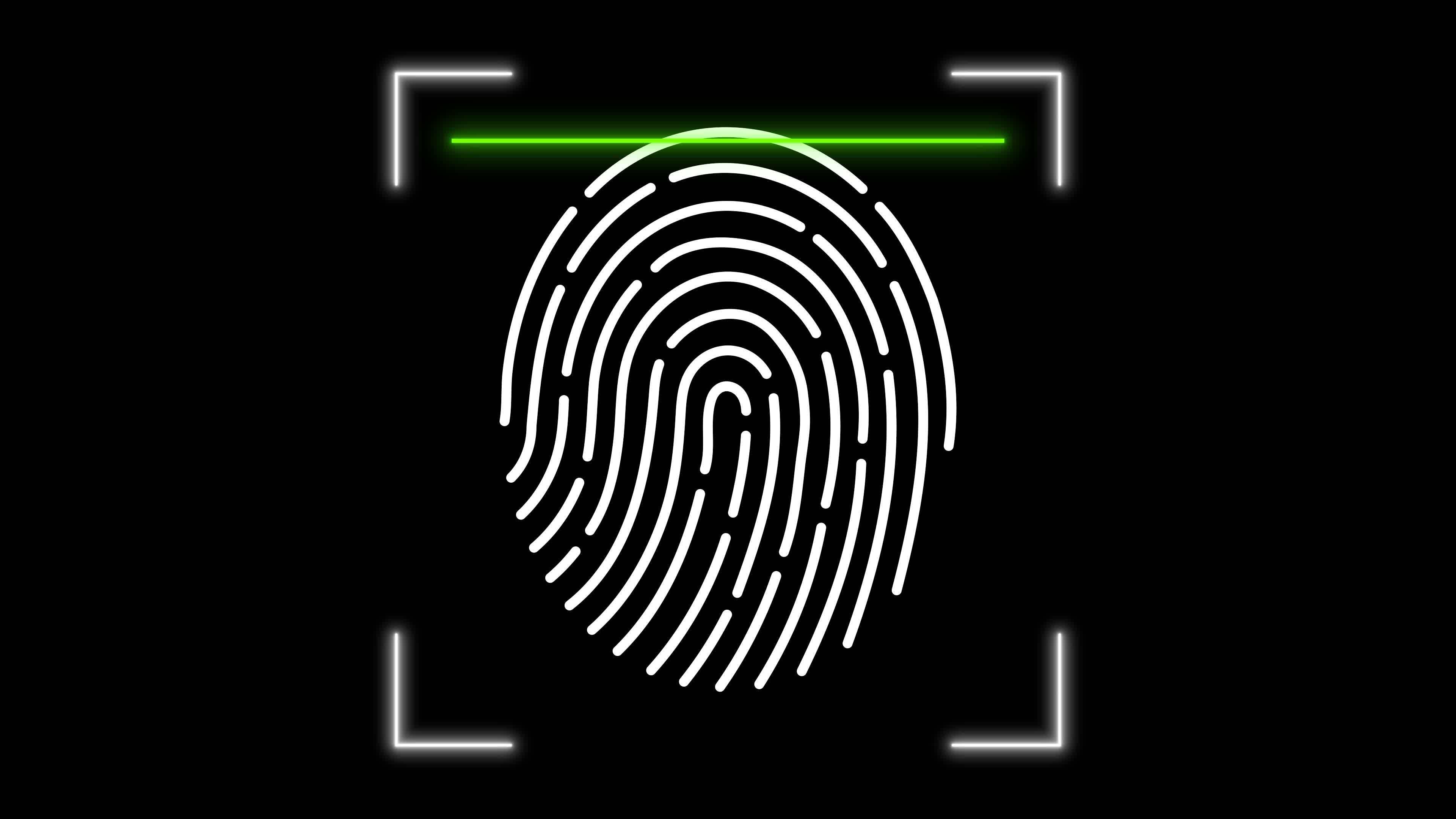 Fingerprint Scanner Animation On Green Screen Background. Digital Scanner For Fingerprint ...