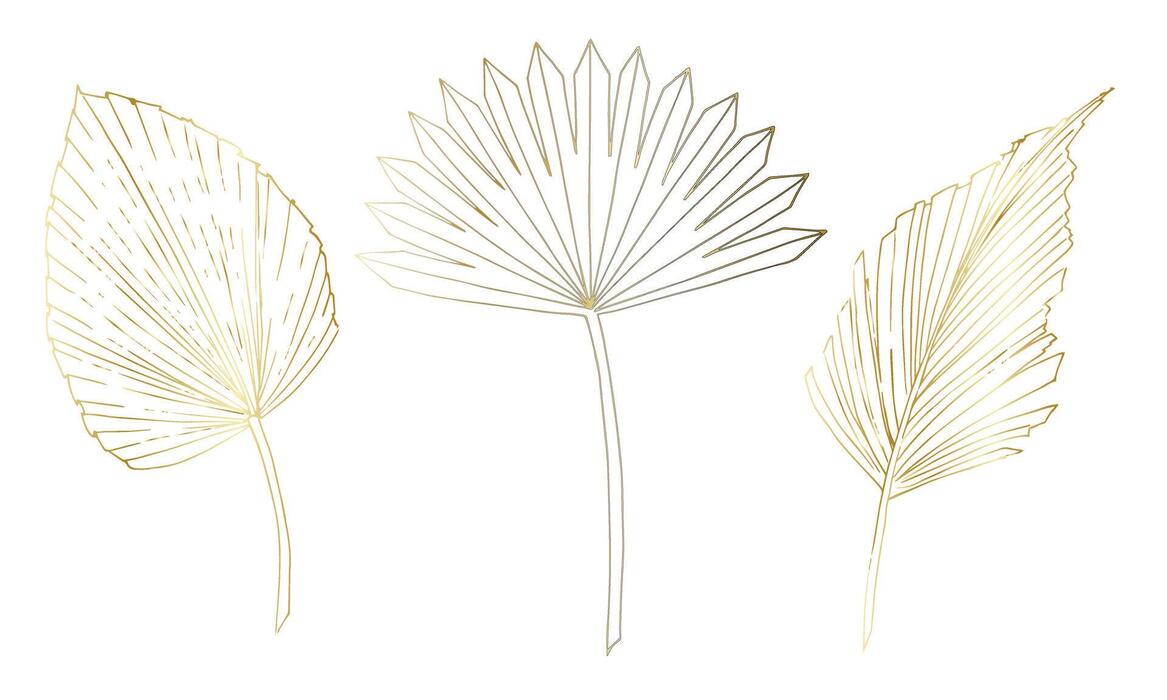 Golden Palm Leaves Vector Art, Icons, and Graphics for Free Download