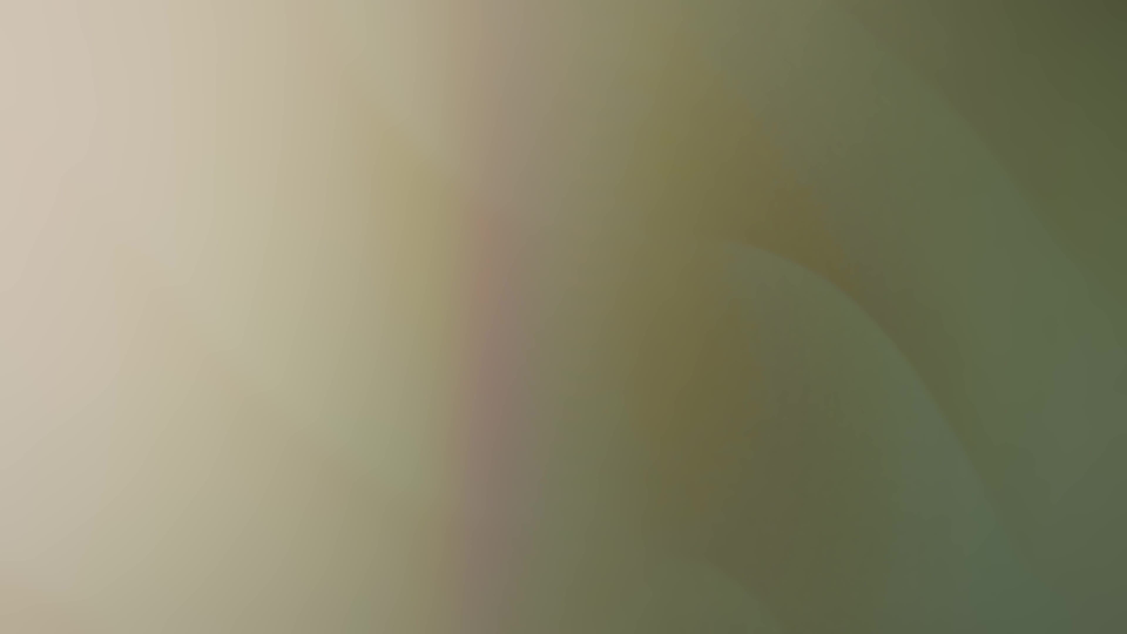 Abstract Background Of Multicolored Waves With A Soft Gradient In Light Yellow And Pink Colors