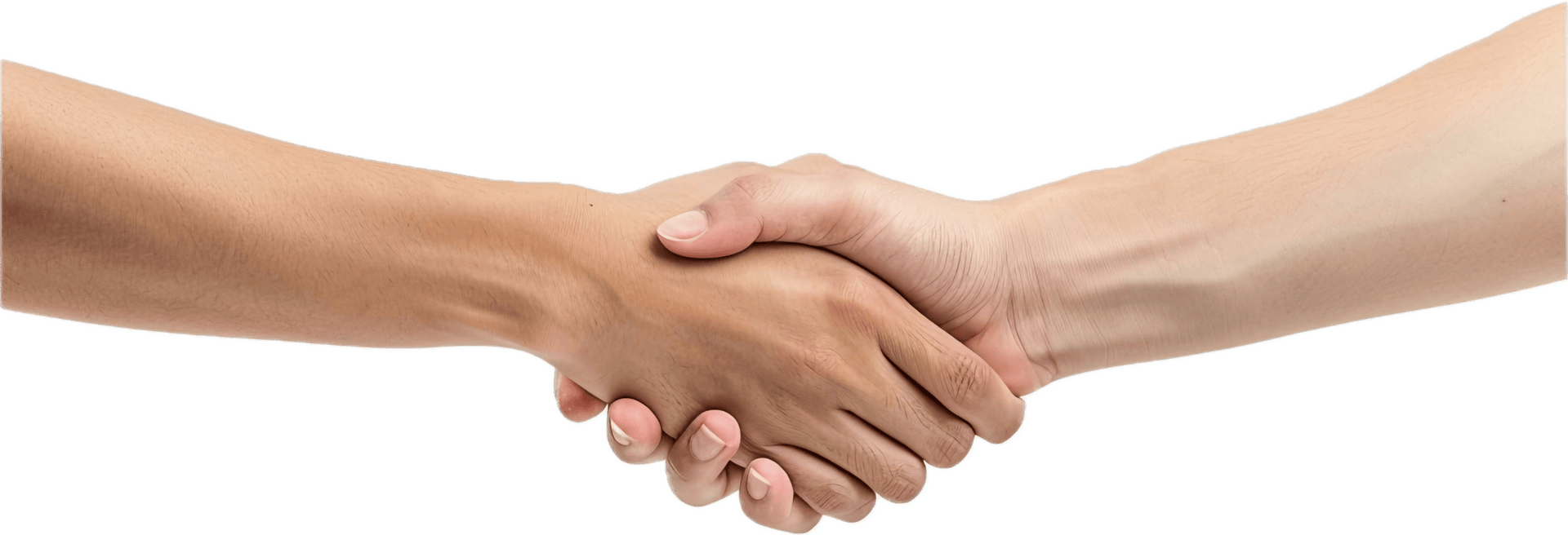 People Holding Hands PNGs for Free Download