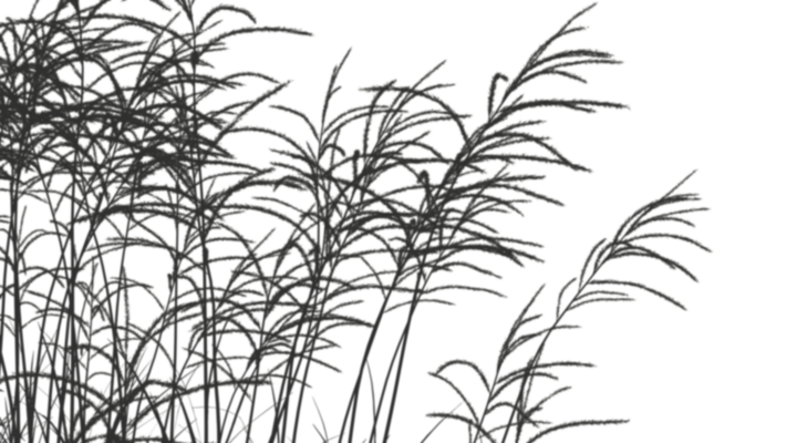 Page 2 Grass Field Pngs For Free Download