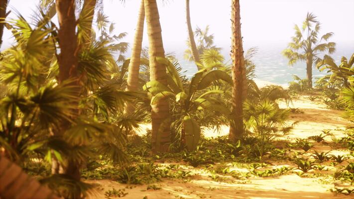 Ocean Stock Video Footage for Free Download