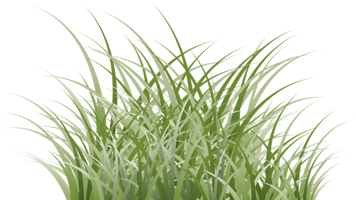 Grass Texture Pngs For Free Download