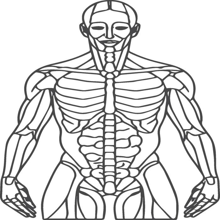 Functional Tertiary Wikidoc Amine Amines Sketch Coloring Page