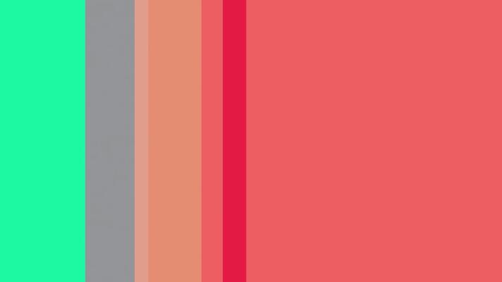 Rectangle Animation Stock Video Footage For Free Download