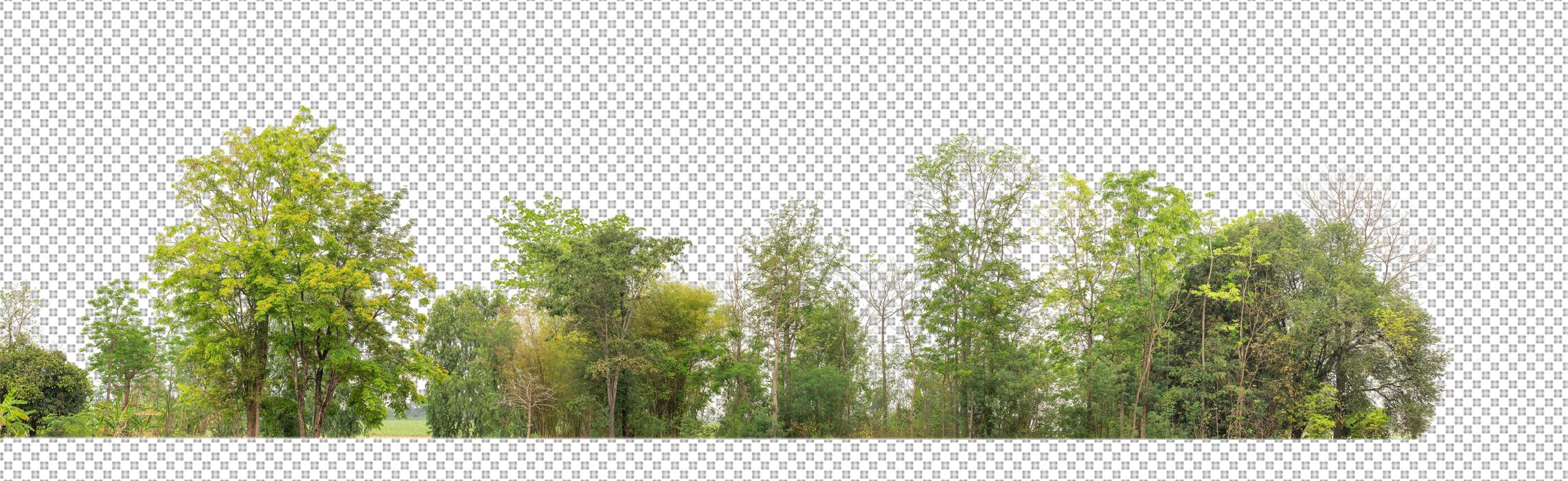 Forest 2d Stock Photos, Images and Backgrounds for Free Download