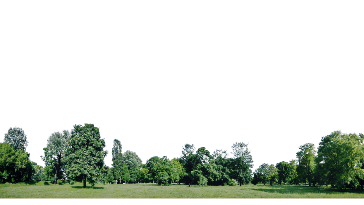 Tree Line PNGs for Free Download