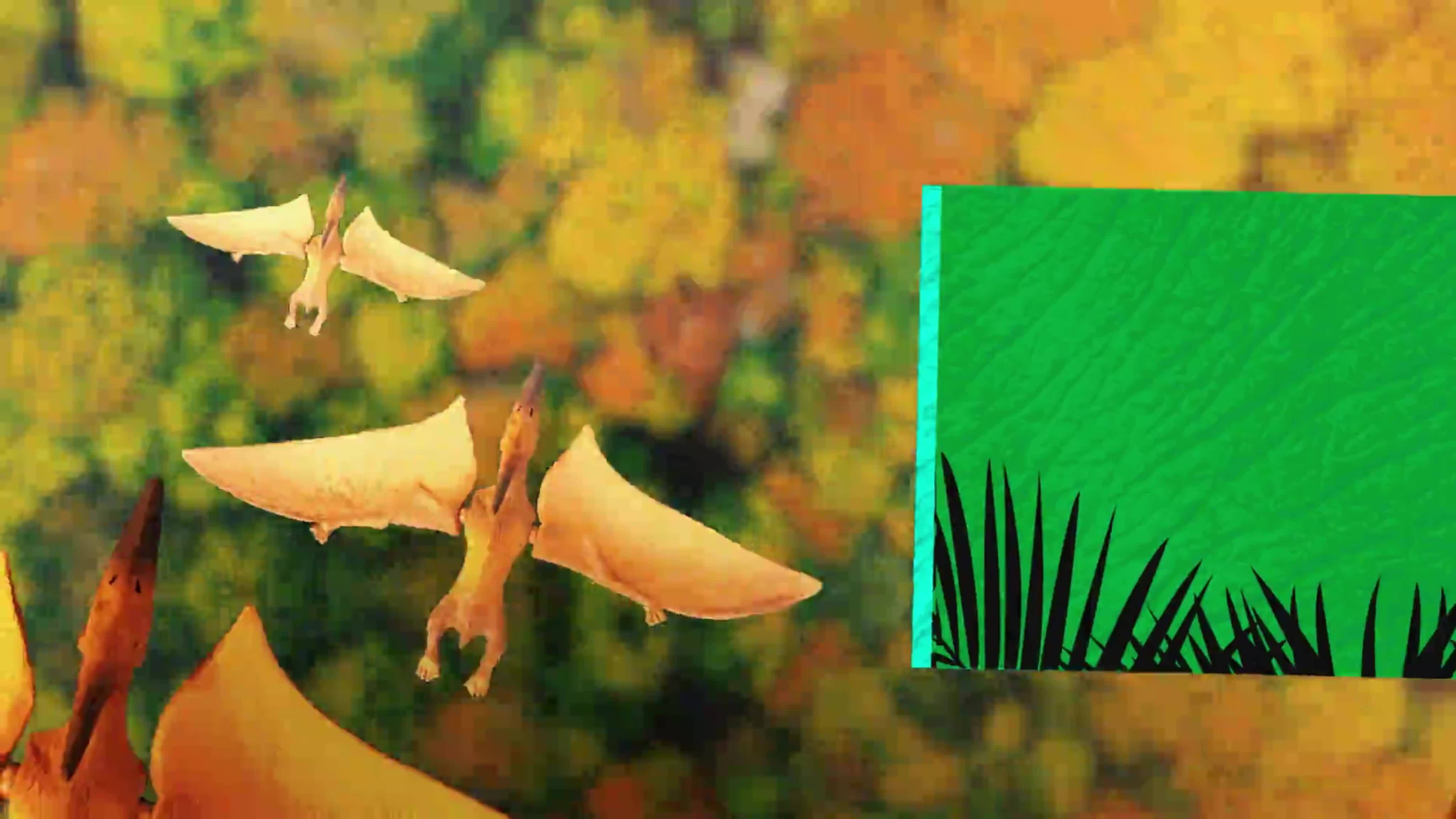 Wild Animals Green Screen Background Stock Video Footage for Free Download