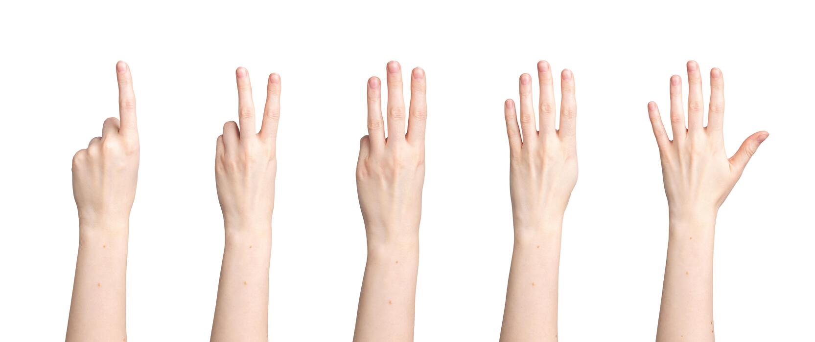Counting Hands Stock Photos, Images and Backgrounds for Free Download