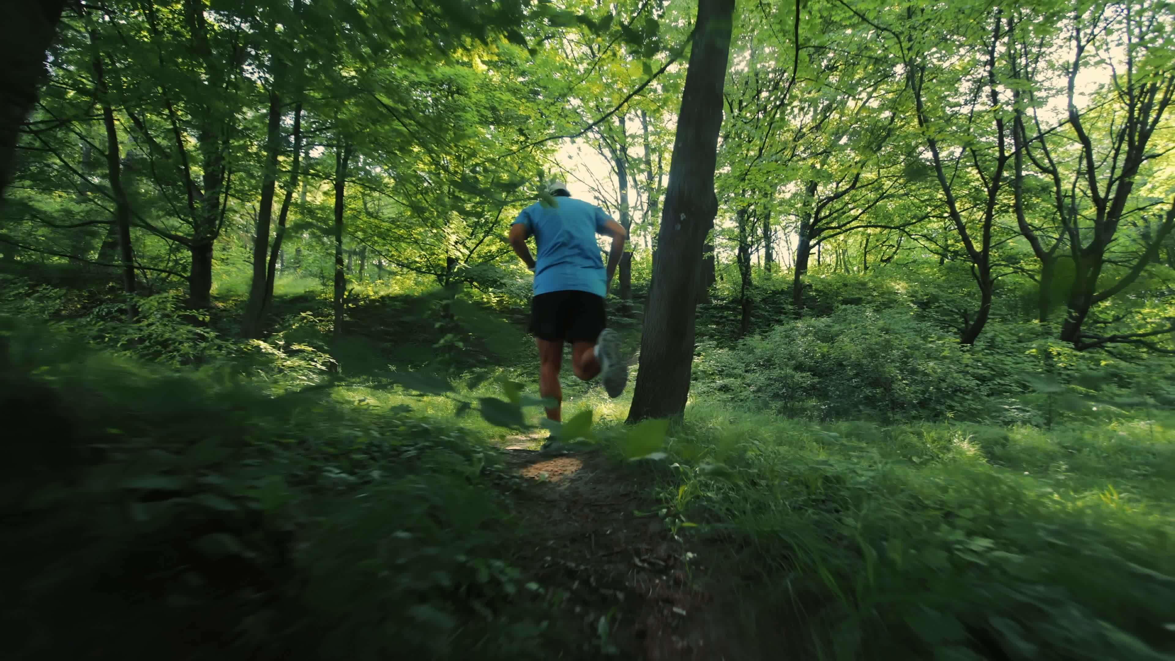 Running Through Trees Stock Video Footage for Free Download
