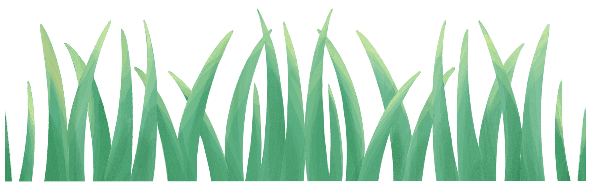 Green Grass Cartoon PNGs for Free Download