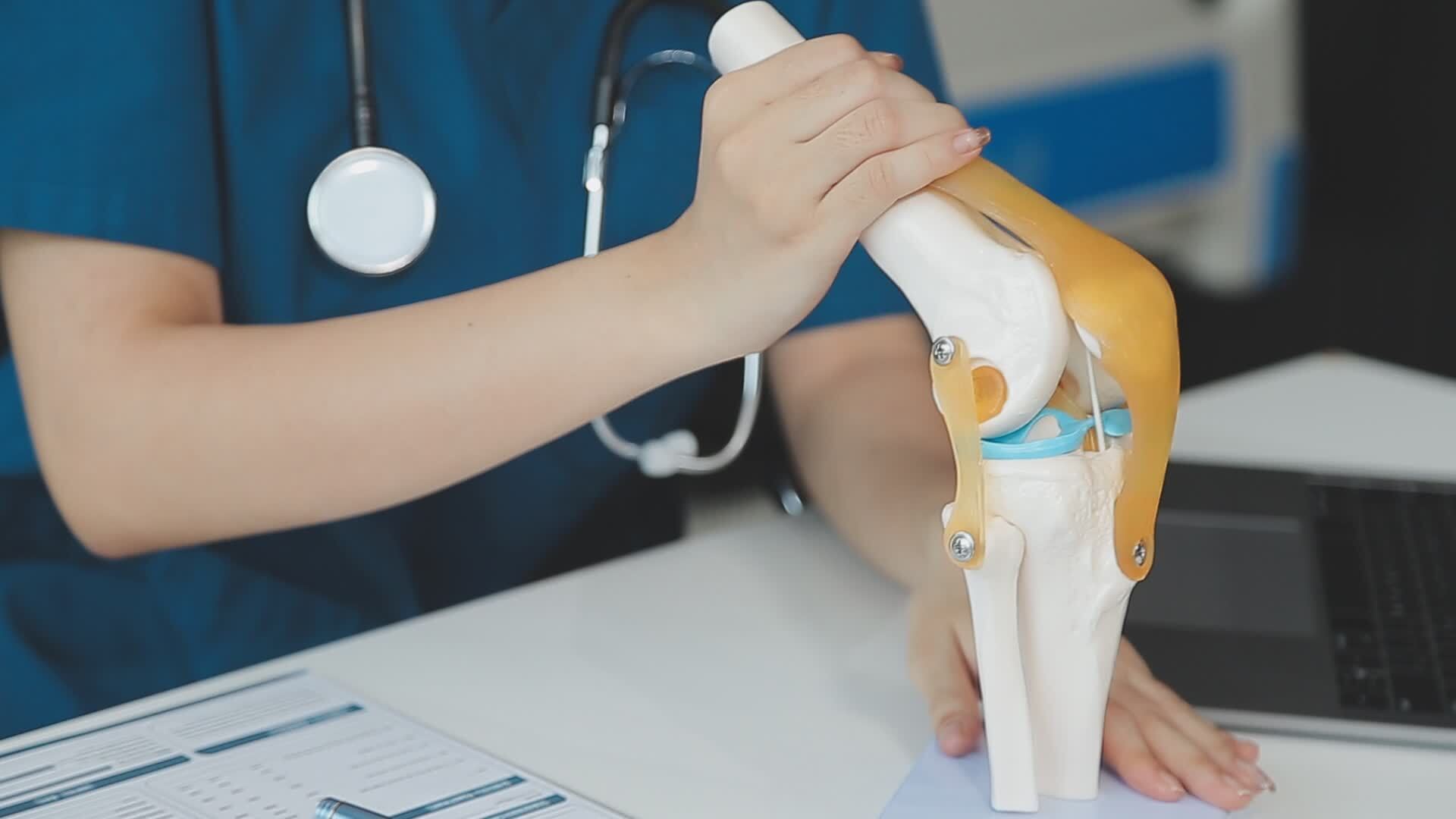 Gynecologist Doctor Points To Model Of Female Reproductive System In