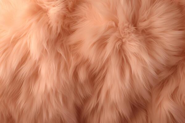 Fluffy Background Stock Photos, Images and Backgrounds for Free Download