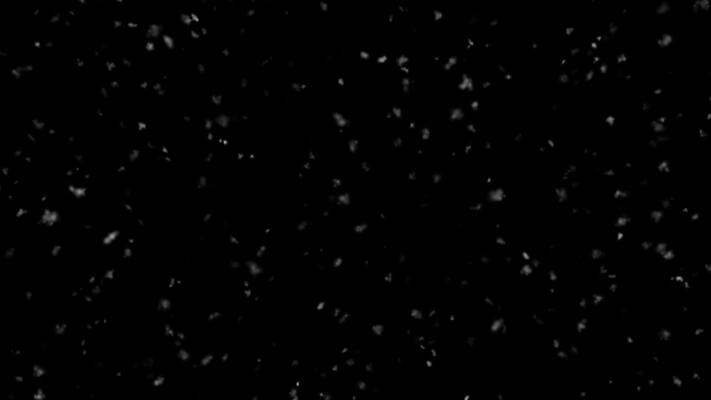 Snow Gif Stock Video Footage for Free Download