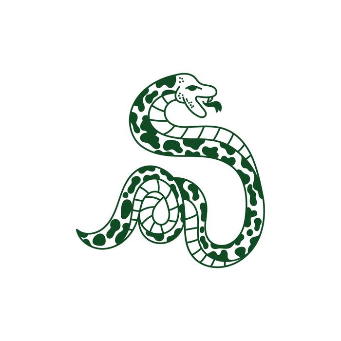 Anaconda Logo Vector Art, Icons, and Graphics for Free Download