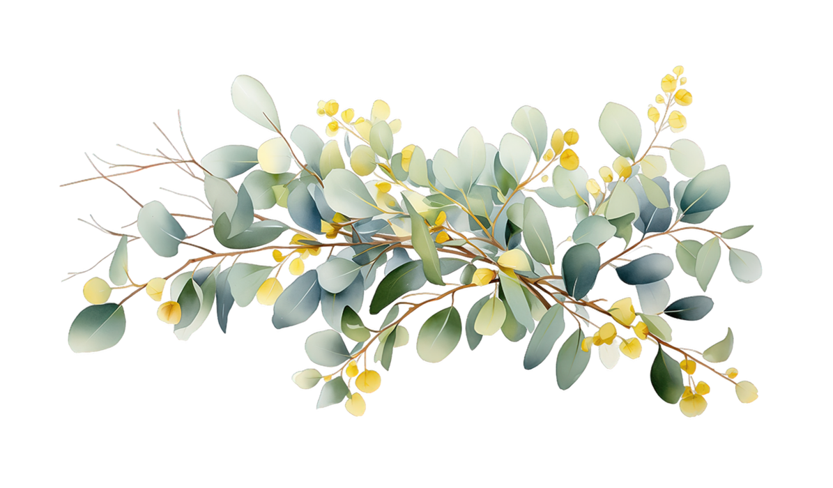 Eucalyptus Gold Border PNGs for Free Download