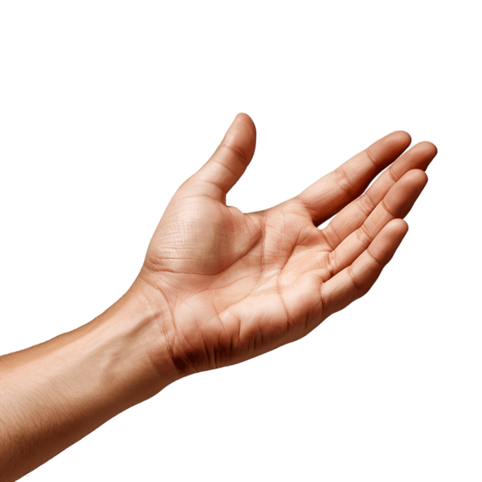Open Hand PNGs for Free Download