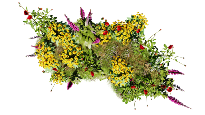 Grass Top View Pngs For Free Download