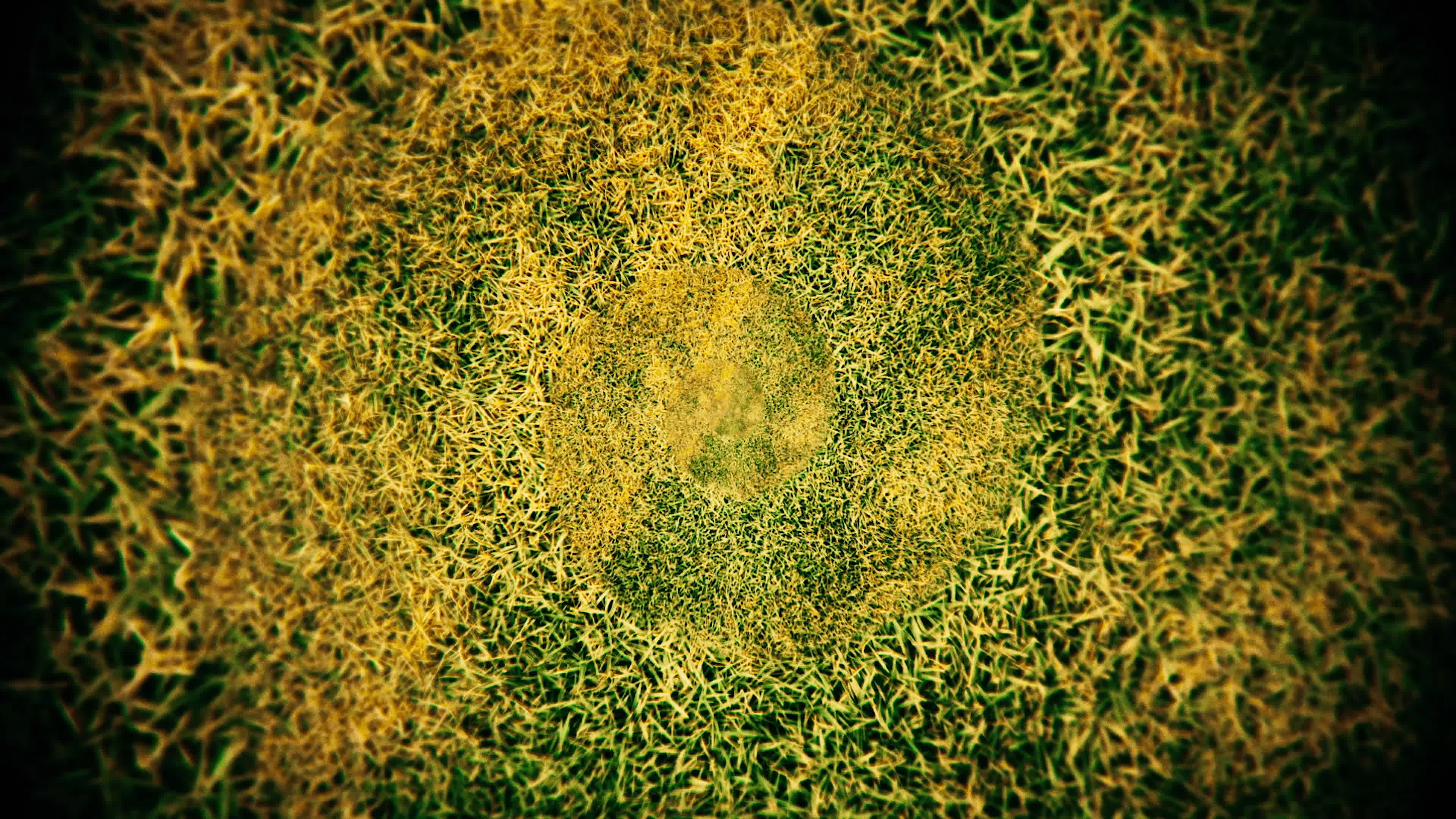 Abstract rotating green and yellow texture creating effect of moving through the tunnel ...