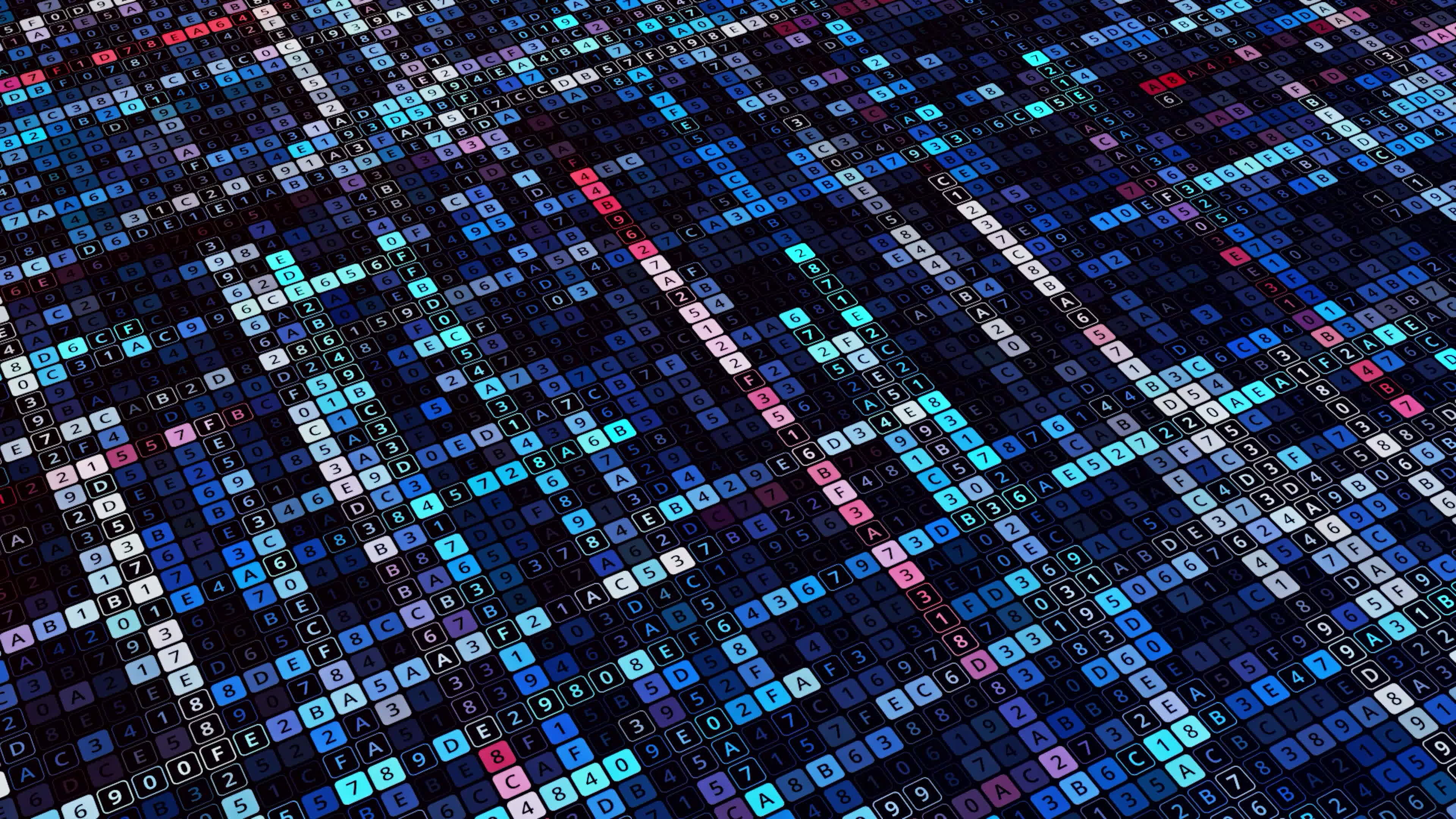 Field with changing numbers. Animation. Computer field with generated numbers and pulsating ...