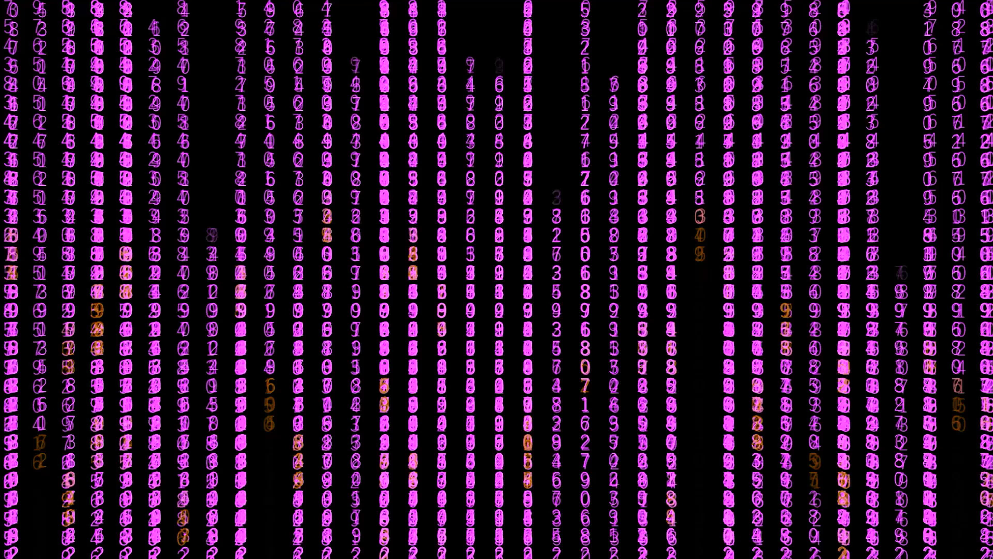 Rain of numbers in computer. Motion. Beautiful hacker background with ...