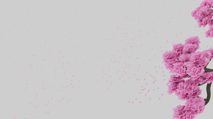 Flower Animation Stock Video Footage for Free Download