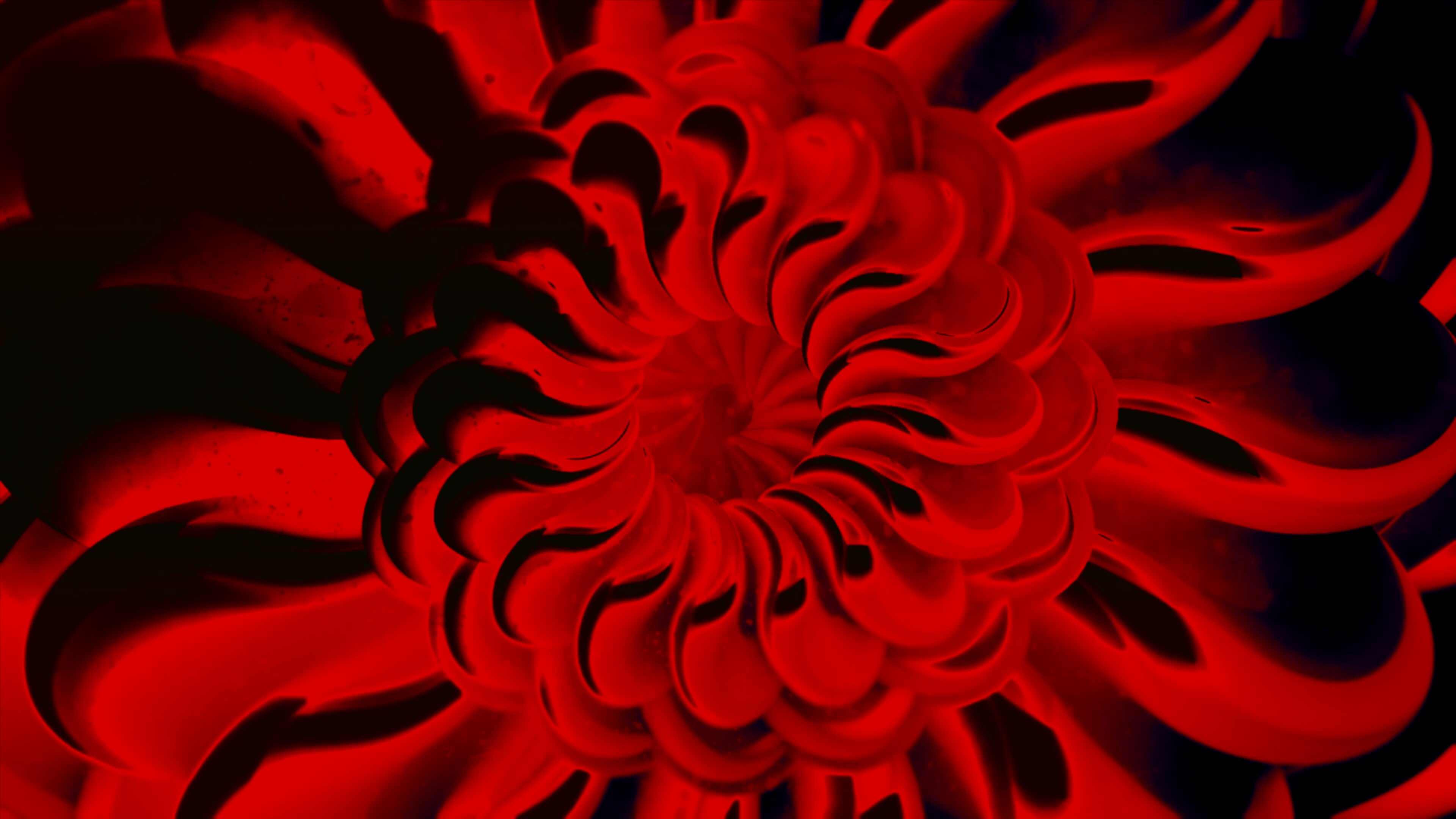 Floating hypnotic Flower pattern. Motion. Psychedelic wavy distortions ...