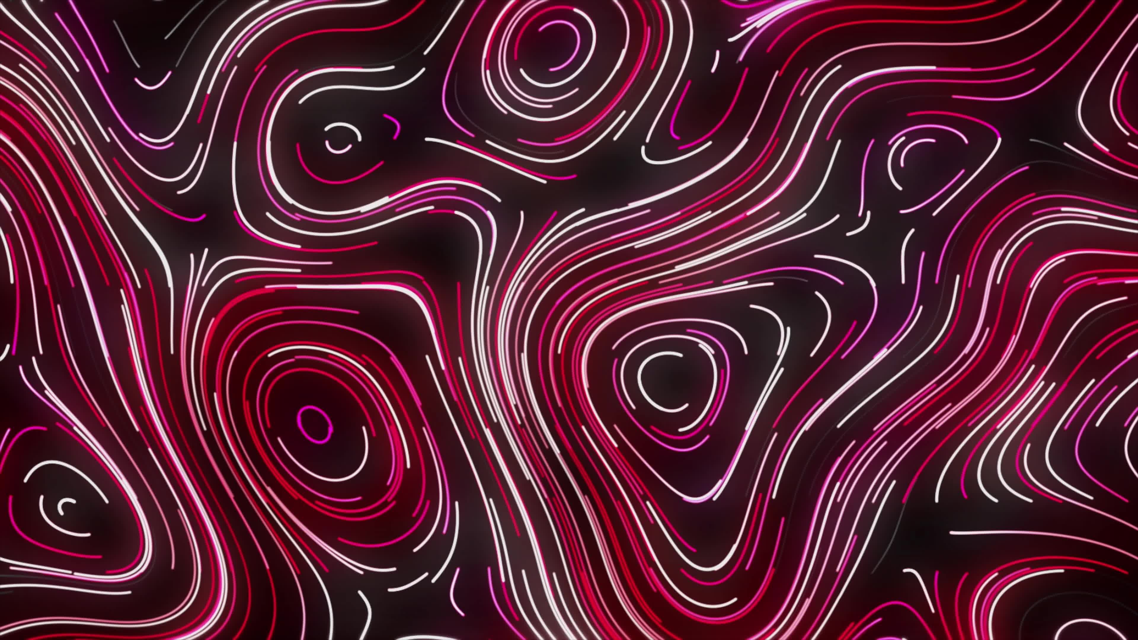 Topographic pattern of neon lines. Motion. Pattern of moving neon lines in style of topographic ...