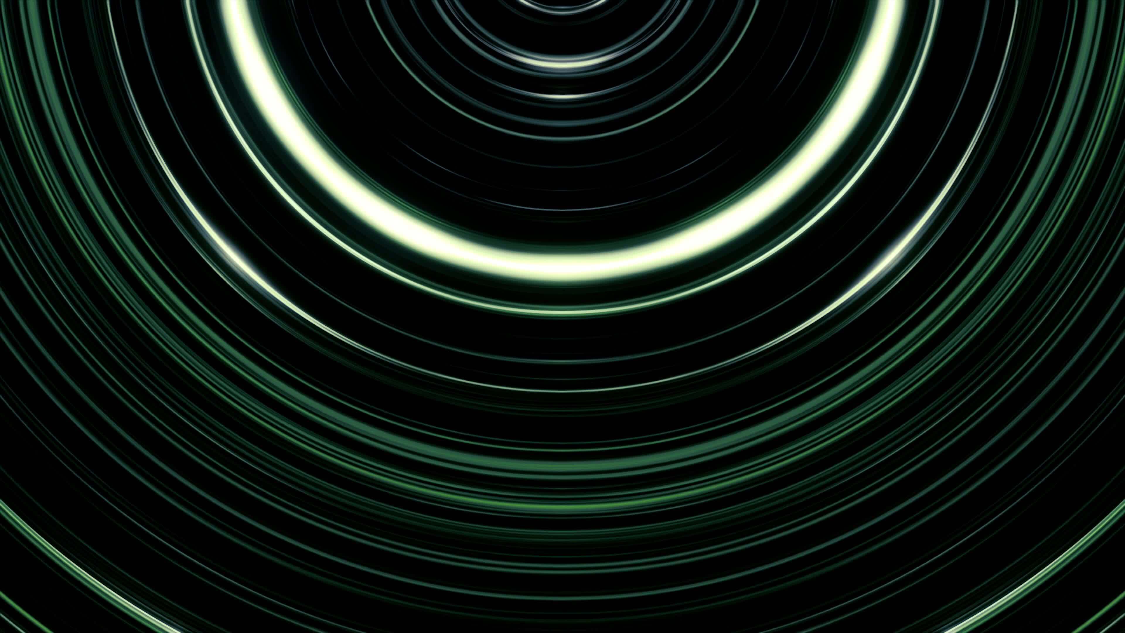 Neon Colorful Bended Lines Blinking On Black Background Seamless Loop Animation Arc Shaped
