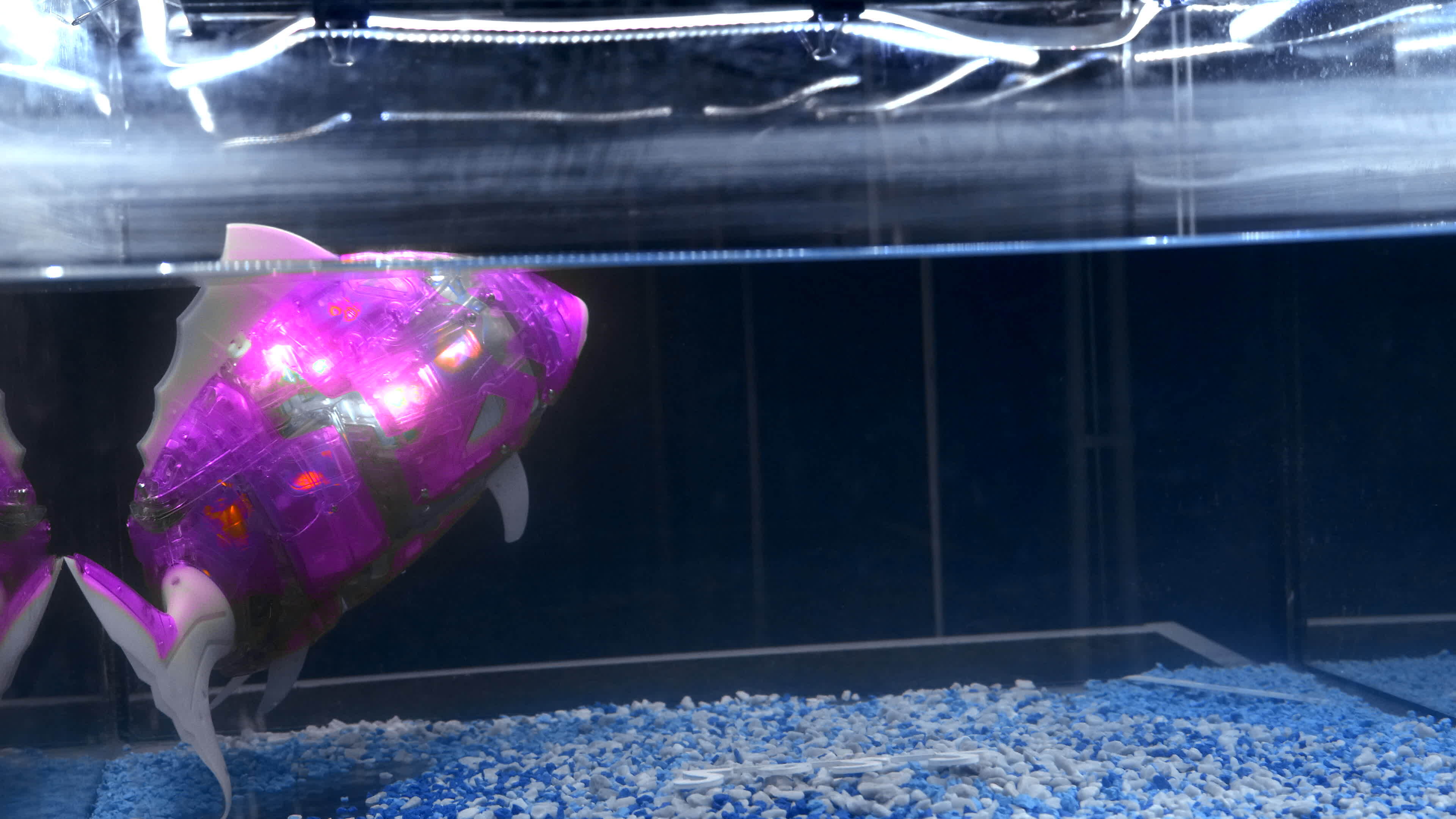 A robot fish in aquarium. Media. Artificial version of robot fish ...
