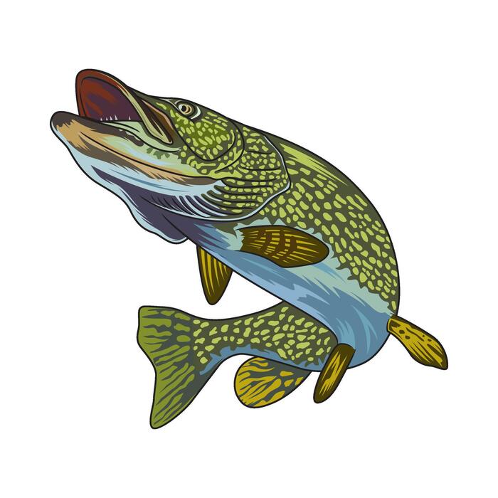 Shutterstock Vector Art, Icons, and Graphics for Free Download